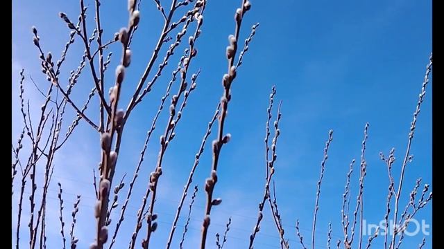 Духовное развитие.