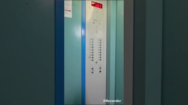 Лифт МЛМ поездка с 15 этажа.mp4