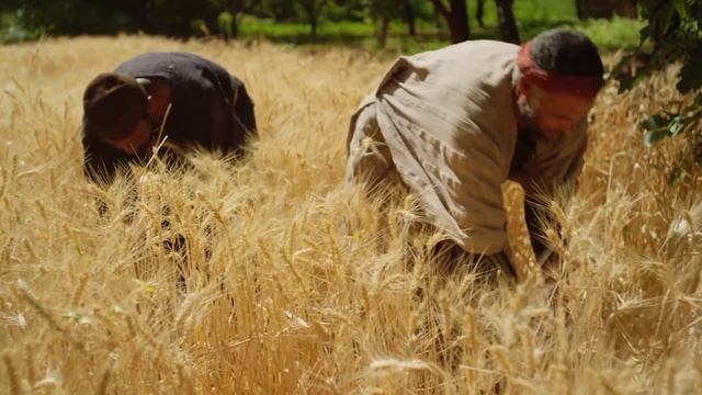 Маттай 13 бүлек