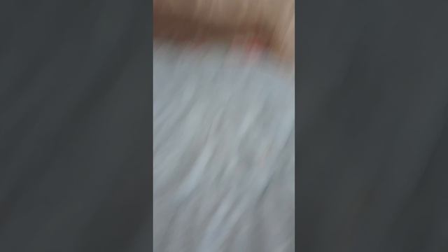 🔴🔵🟣🟠🟡🟢🔸️🔹️🔷️🔶️