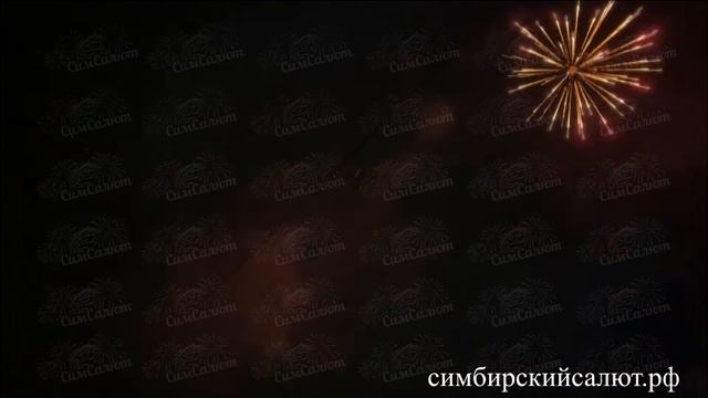 Профессиональный салют (№2227) (35)