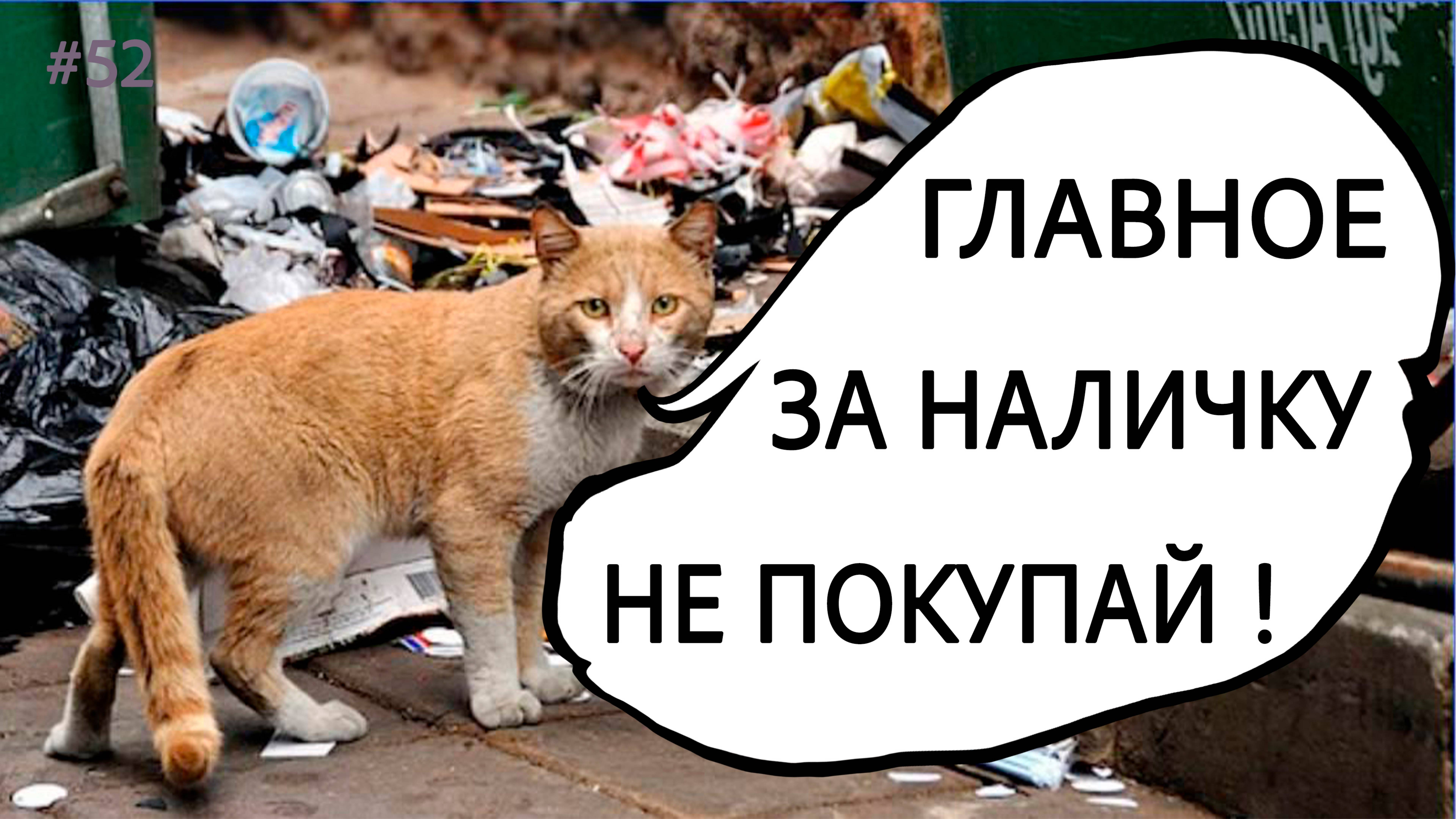 О недвижимости #52 Запрет налички, Налоги, Работа в Шотландии, Болонская система образования