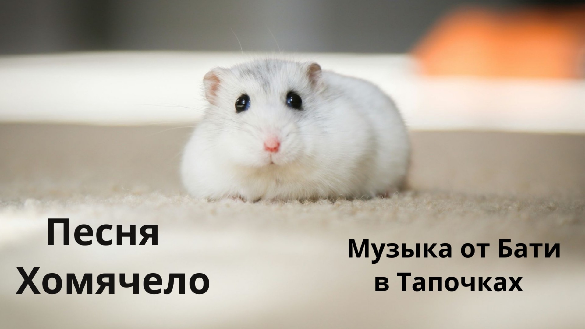 Хомячело(Бобёр 4 серия) (Suno Ai)