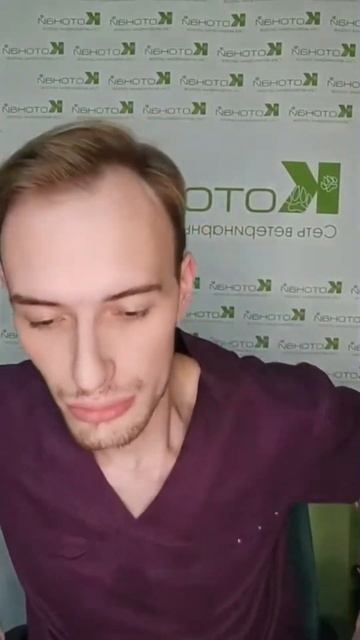 профилактический осмотр у кошек и собак