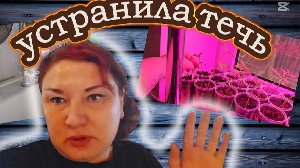 52-25! VLOG МОЯ РАССАДА/ЗАКРЫЛИ ОДИН ГЕШТАЛЬТ/УСТРАНИЛА АВАРИЮ ВО ДВОРЕ/ПОКУПКИ/СКОТЧ ДЛЯ СЕТКИ