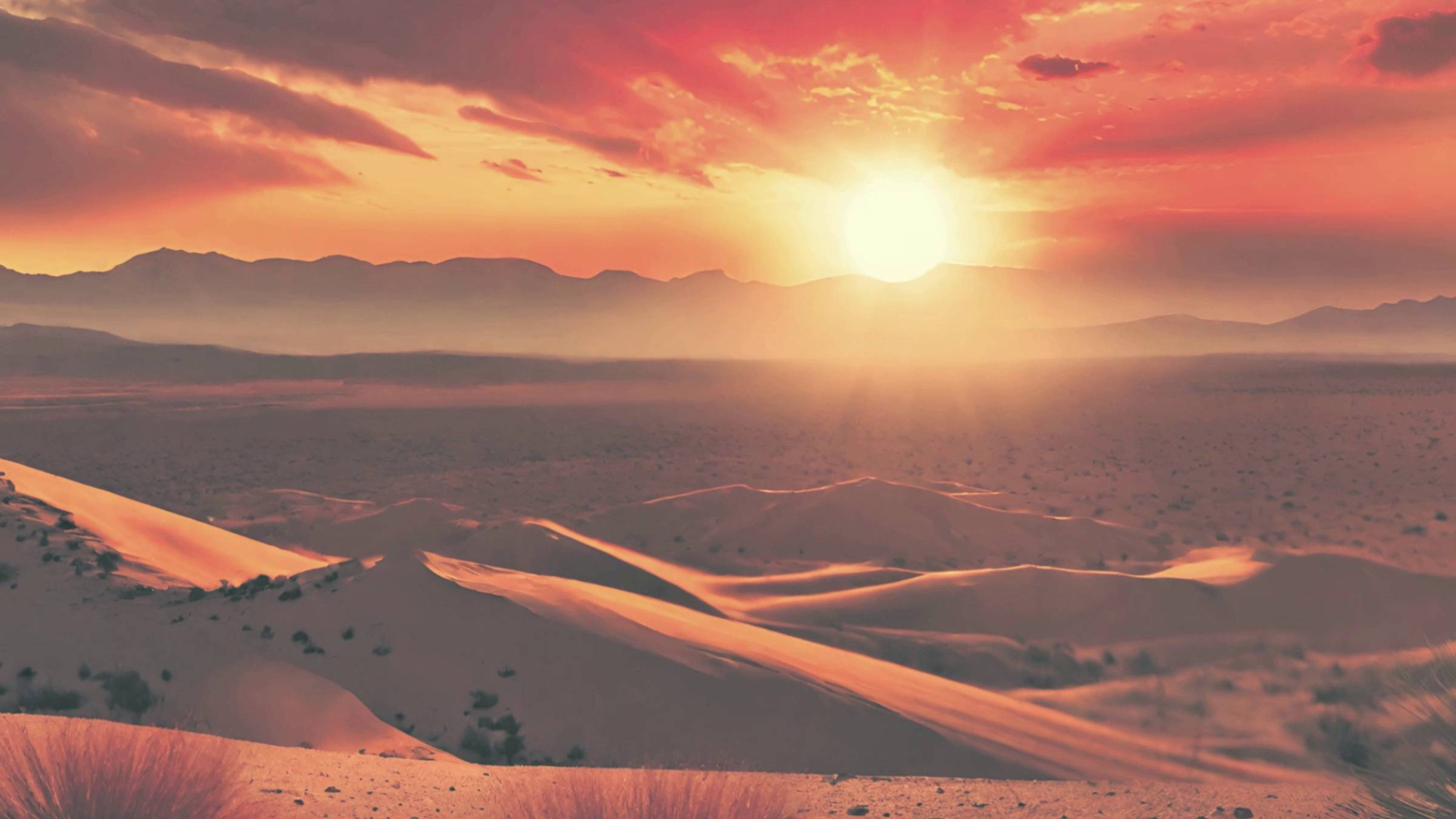 Talvez Um Dia Desses