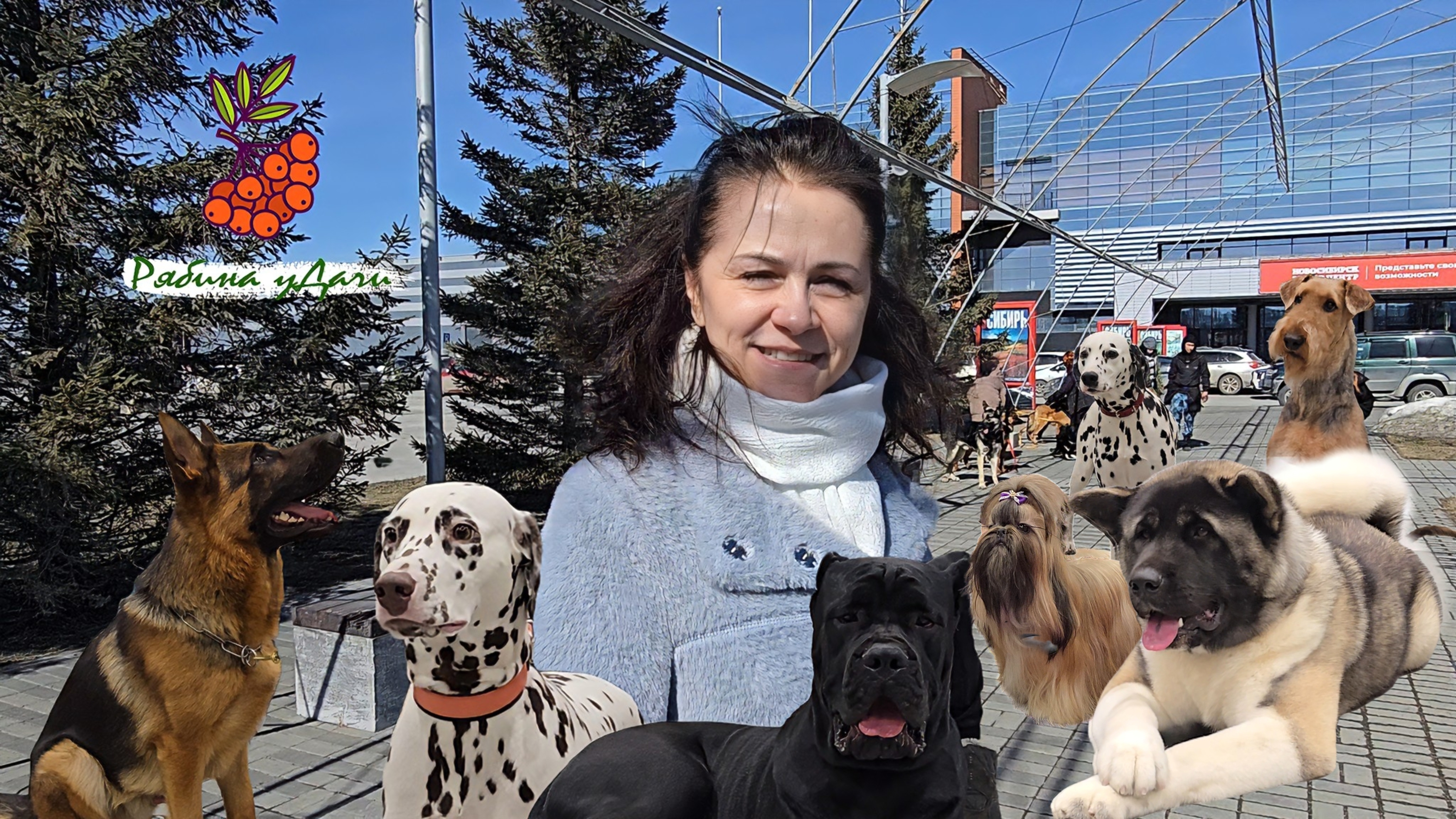 ТАКИХ СОБАК ВЫ ЕЩЁ НЕ ВИДЕЛИ/САМАЯ БОЛЬШАЯ ВЫСТАВКА В СИБИРИ