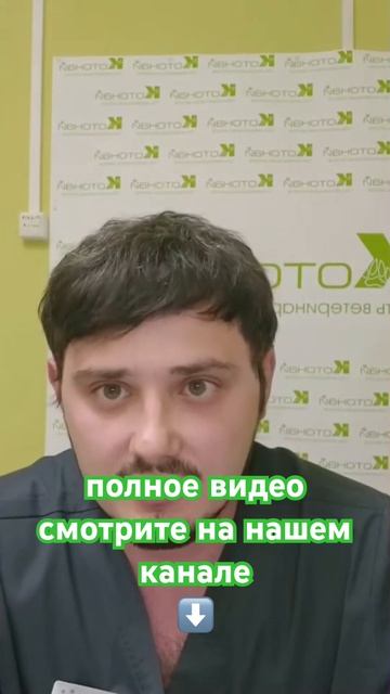 Особенности ветеринарного приема у специалиста по экзотическим животным