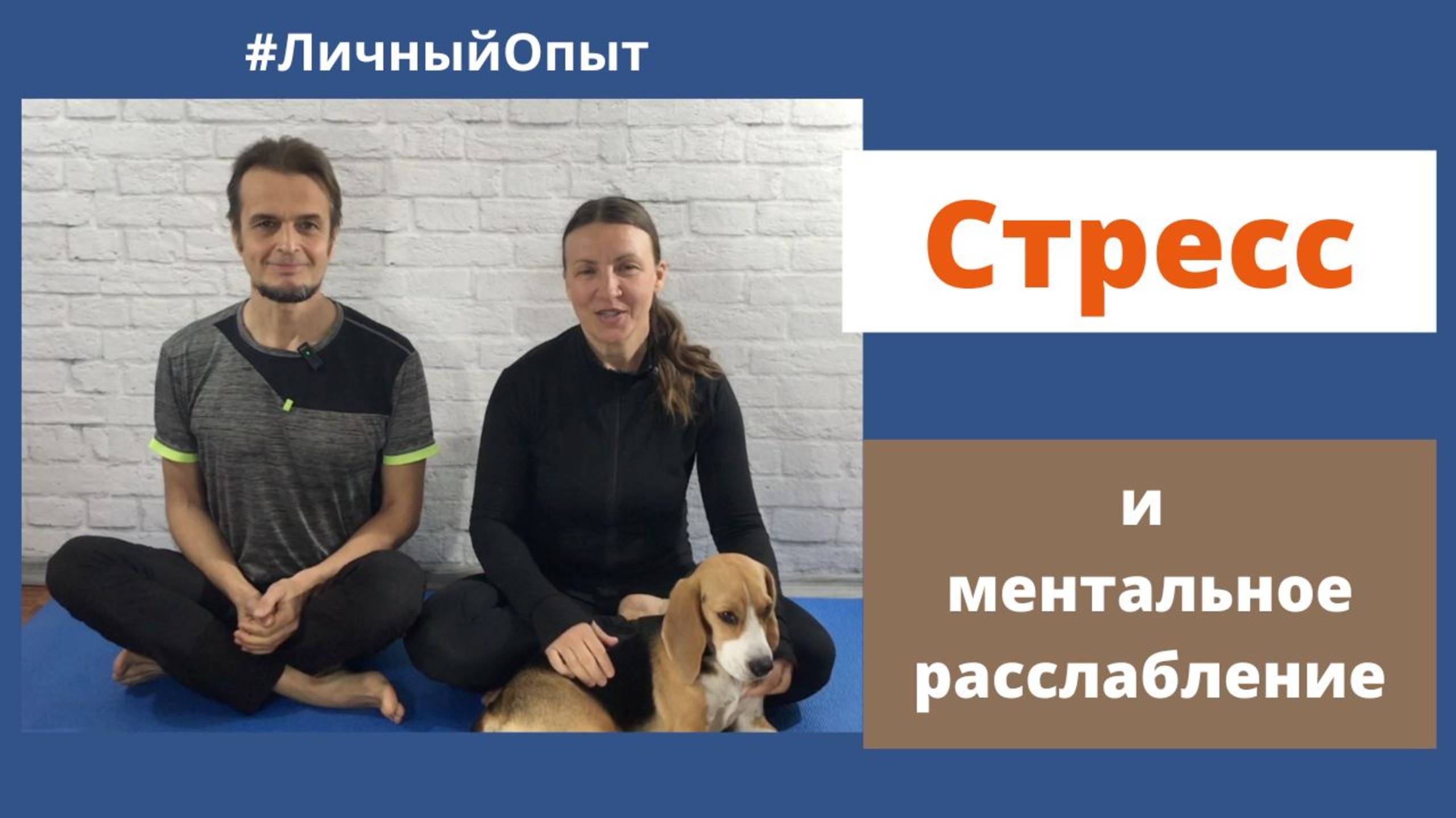 Как отключить мозг от мыслей  в период стресса