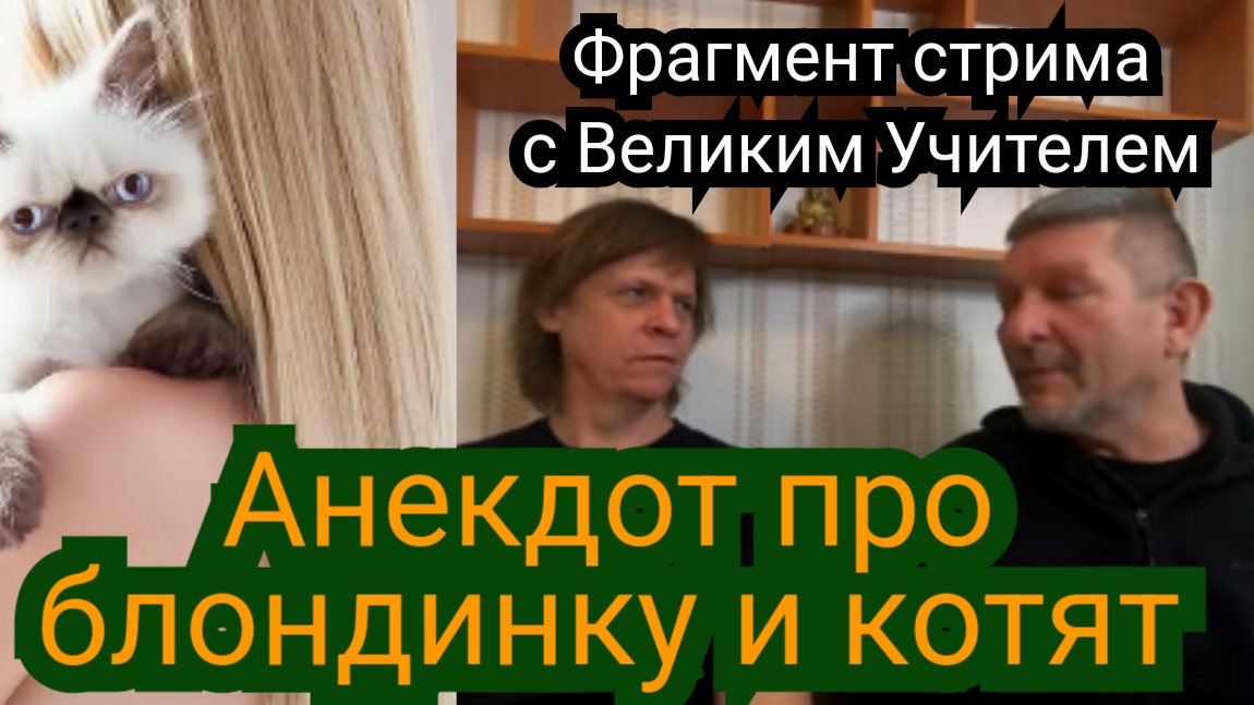 Анекдот про блондинку и котят