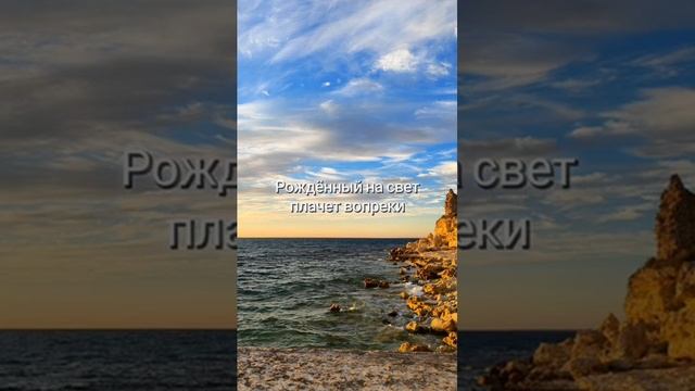 ToryKane - весы правосудия(фрагмент песни)