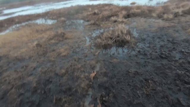 ОХОТА НА ГУСЯ 2021. Карелия, весна + бонус ГЛУХАРЬ !!! #охотанагуся2021