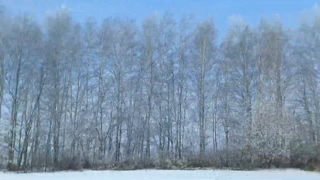 Путешествие в Саранск из Новочеркасска  февраль 2024 года.
