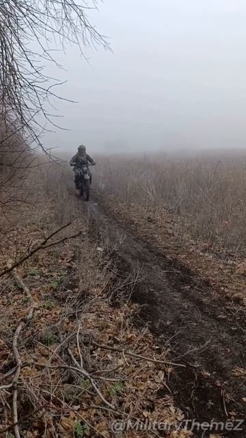 Пароль – ответ, в зоне СВО !