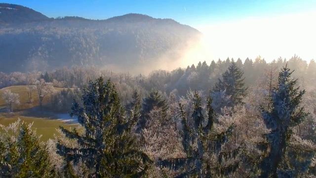 ДАР СОЗЕРЦАНИЯ