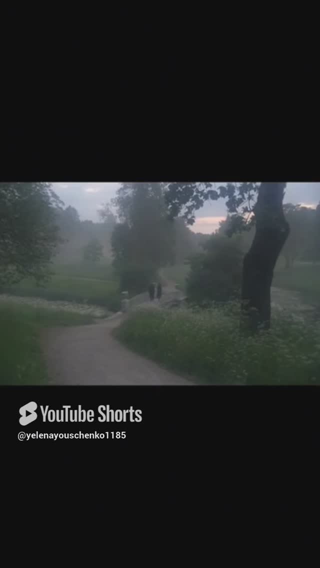 Видите схожесть 🧐