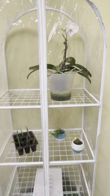 Парник напольный 160 бел арка