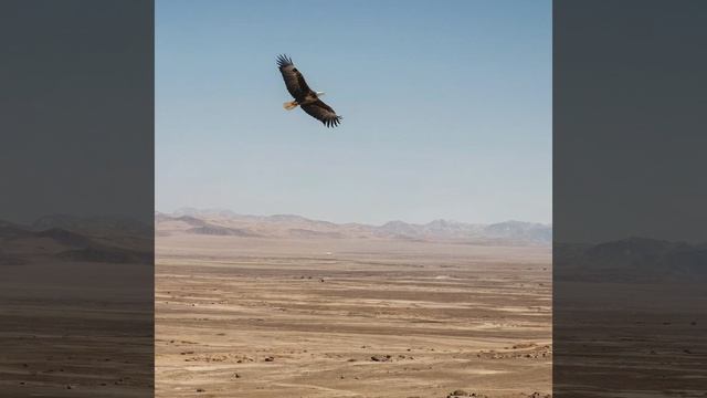 Konstantin Boyandin - Hallucination - Ah Mearah