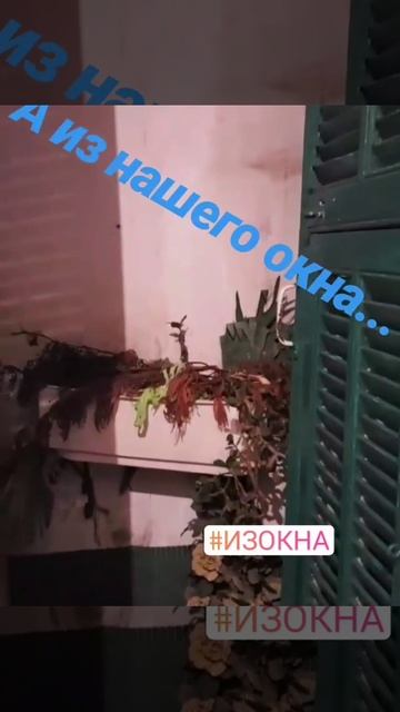 А из нашего окна - короткий стих про отель в Ницце