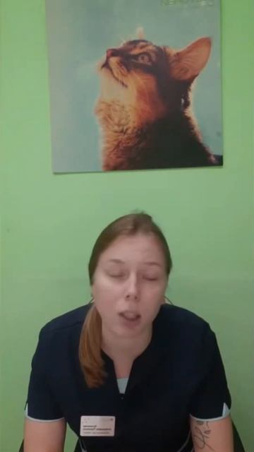 Асцит у животных