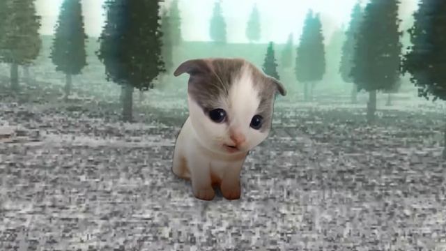 😥ВЫЙДЕТ ЛИ KinitoPET 2？