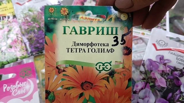 2013.  А Вы посейте эту красоту!