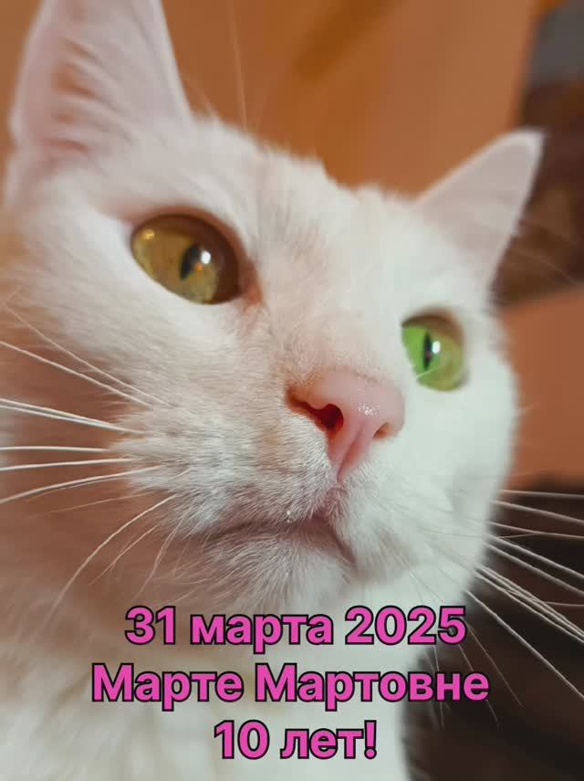 Марте Мартовне 10 лет.mp4