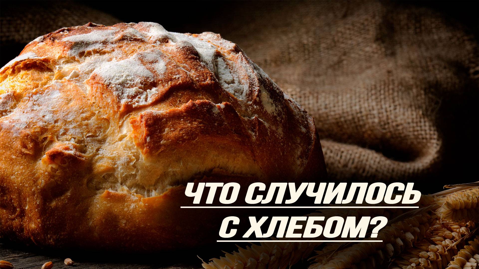 Хлеб как государево дело и основа здоровья нации