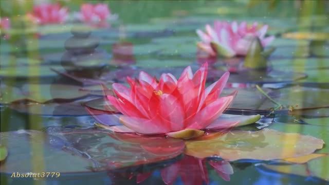 + Мантра Божественной Любви и открытия Сердечного центра