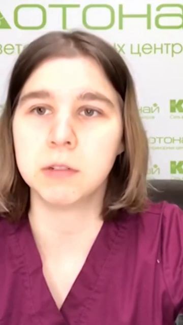 Как проходит обследование сердца у животных