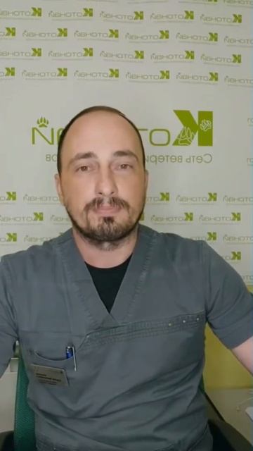 центезы у кошек и собак