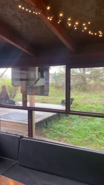 Йога в Куршале