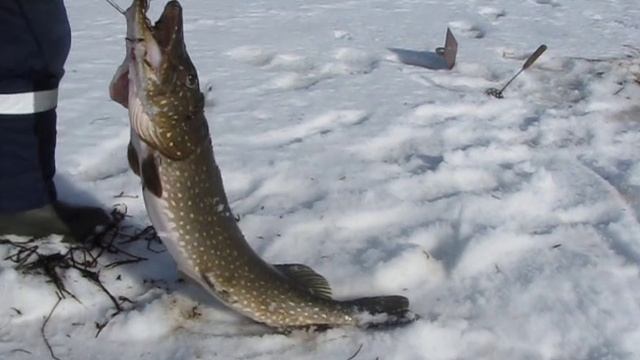 23 марта 2014 года.На Сомбаозере