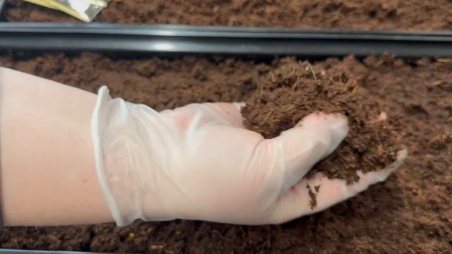 Кокосовый субстрат