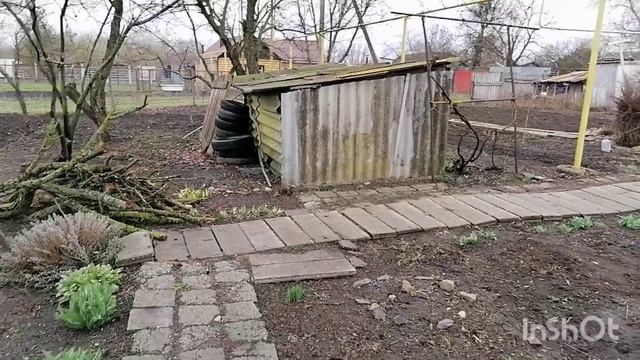 Как приготовить начинку из капусты для пирожков / Пирожки с капустой / Пошёл дождь / Дачный влог