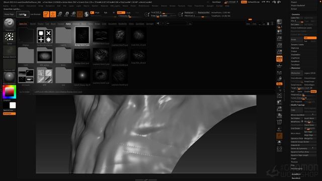26. Skin Details, Fine Wrinkles & Pores in ZBrush (1)