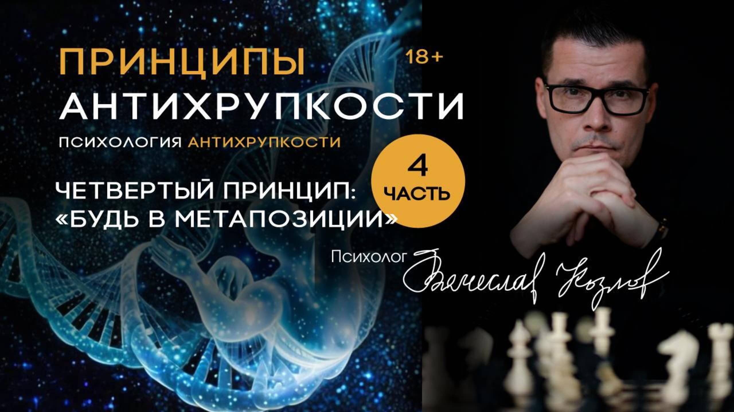 4 принцип Антихрупкости: «Будь в Метапозиции»