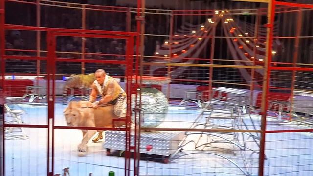 цирк Львы и Тигры -1001 песенка