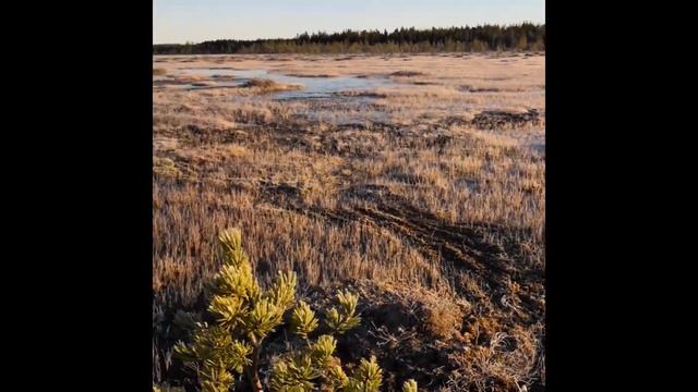 ОХОТА НА ГУСЯ 2018.КАРЕЛИЯ.ОСЕНЬ.#охотанагусявКарелииосень