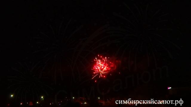 Профессиональный салют (№1516) (68)