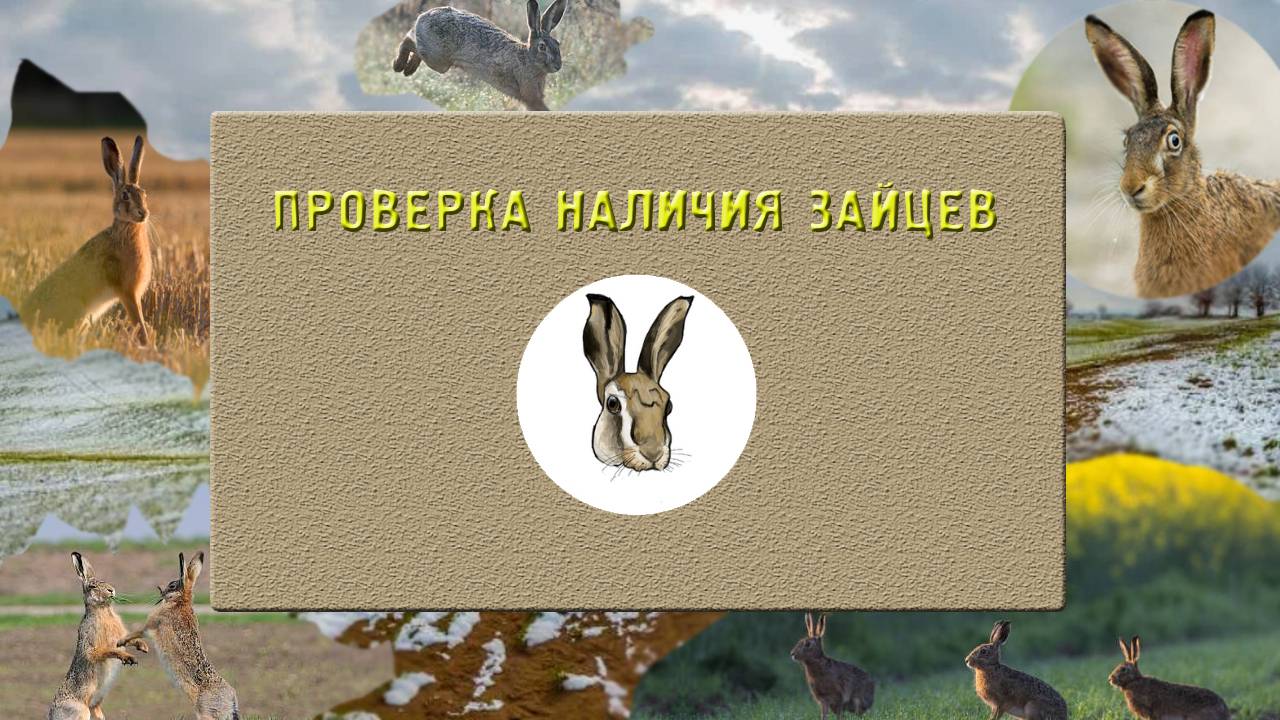 Как мы готовимся к сезону охоты на зайца