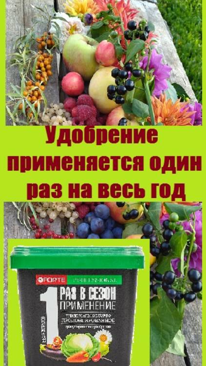 Какое удобрение можно использовать для рассады без вреда для здоровья?