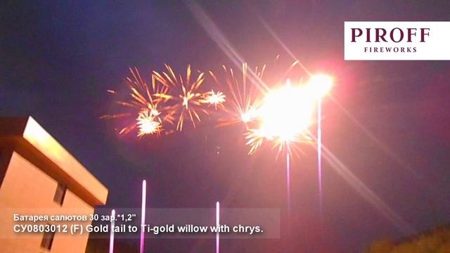 Gold tail to Ti-gold willow with chrys. 1,2"х 30з