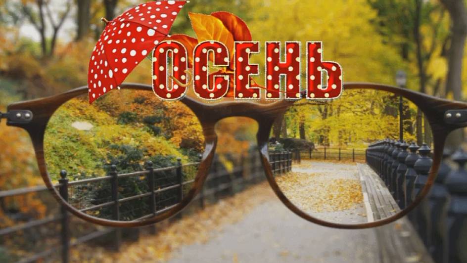 Вот и ОСЕНЬ пришла