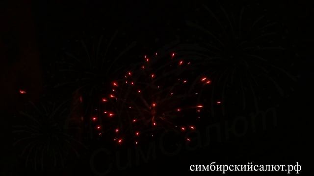 Профессиональный салют (№1347) (32)