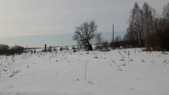 1марта 2025 открыли сезон,дача.mp4