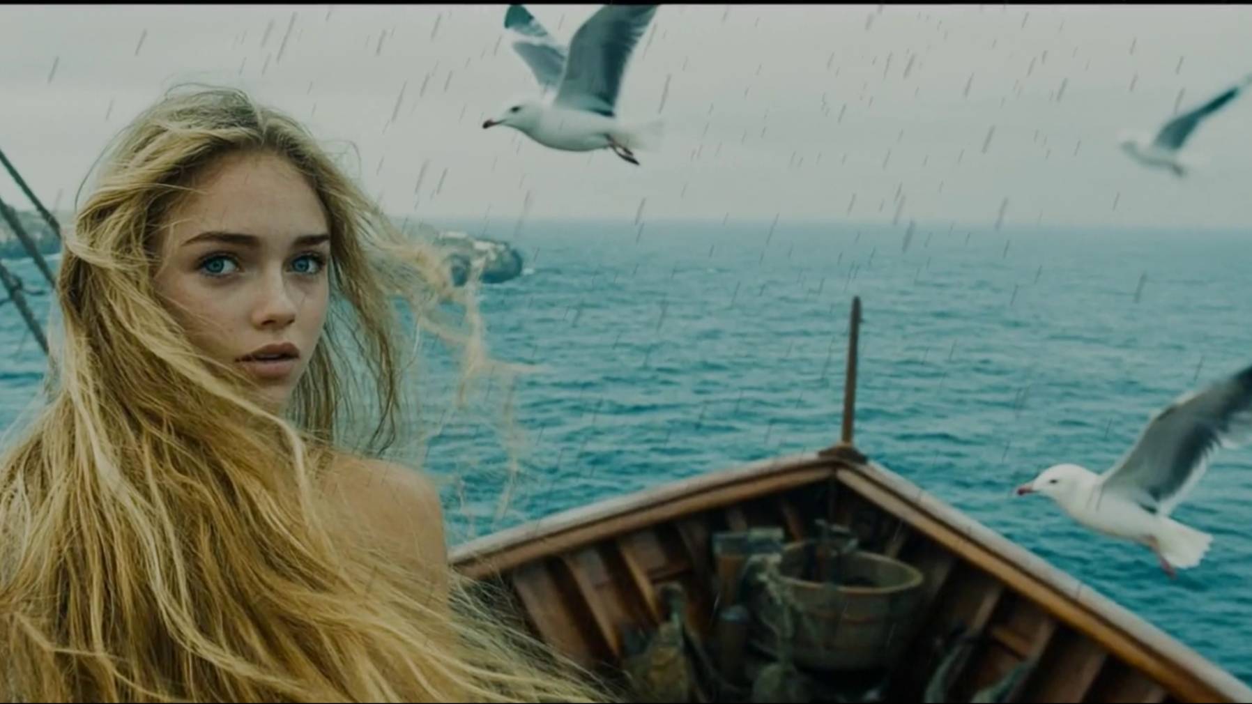 Авторская песня "Чайка у причала" на стихи Александра Митина