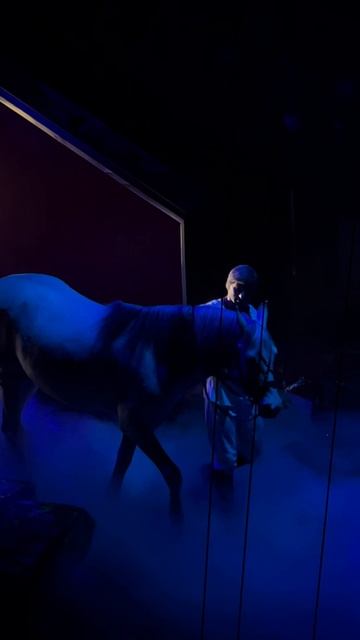 Джигиты Муратовы. Свобода под руководством Сергея Муратова. «Матрешка» в цирке на Цветном бульваре