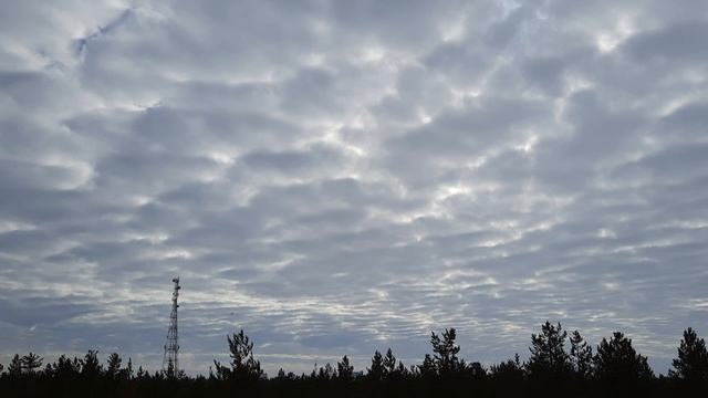 МОЯ ПОДДЕРЖКА ВАМ