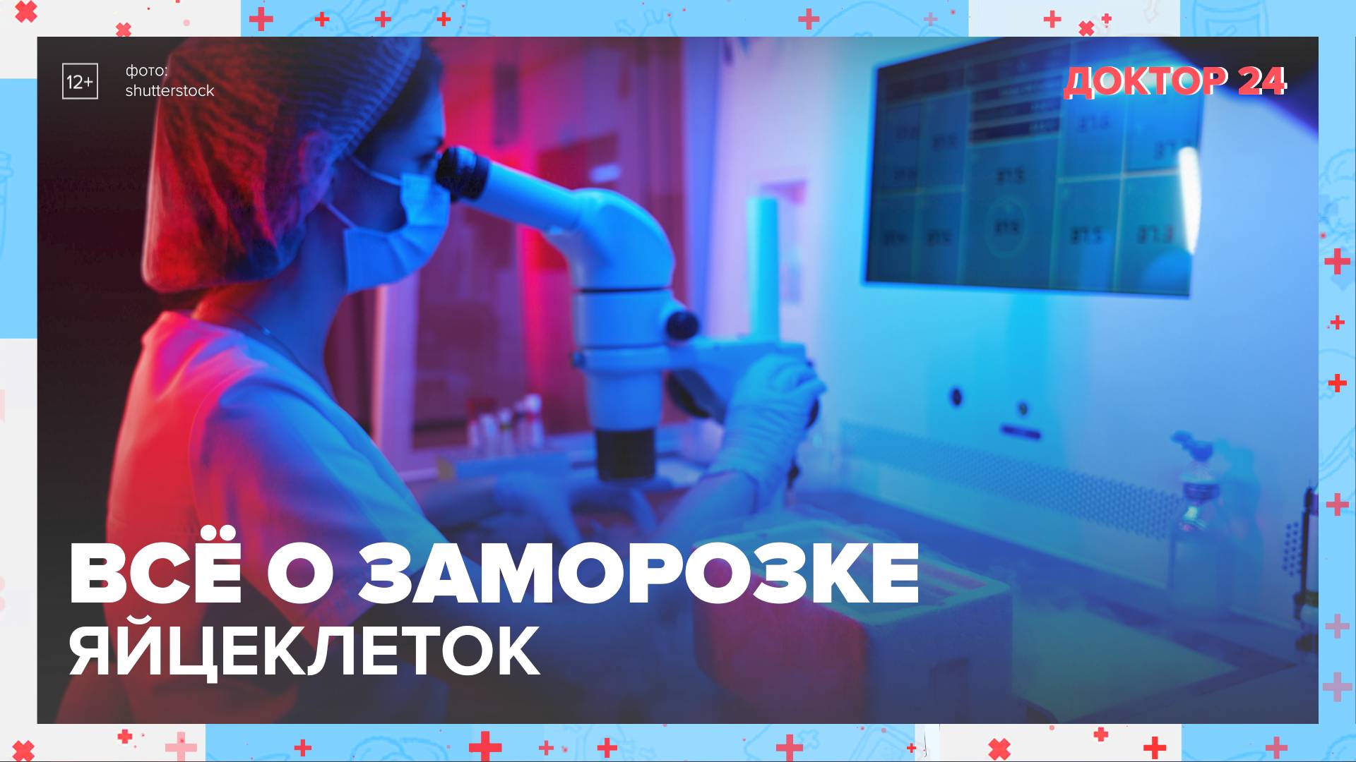 Всё о заморозке яйцеклеток|Доктор 24 — Москва 24|Контент